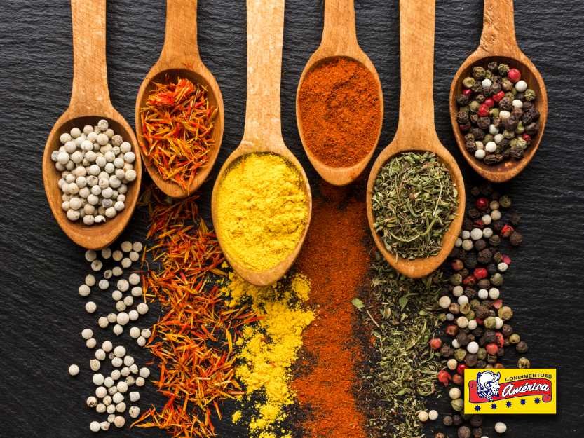 El Secreto del Rico Sabor – Condimentos América